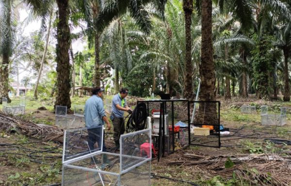 Installation of Chamber System – SATREPS-OPT